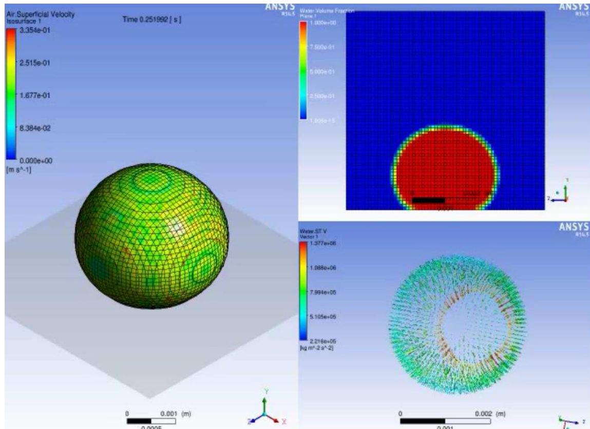 3.3. rising bubble morphology and velocity validation