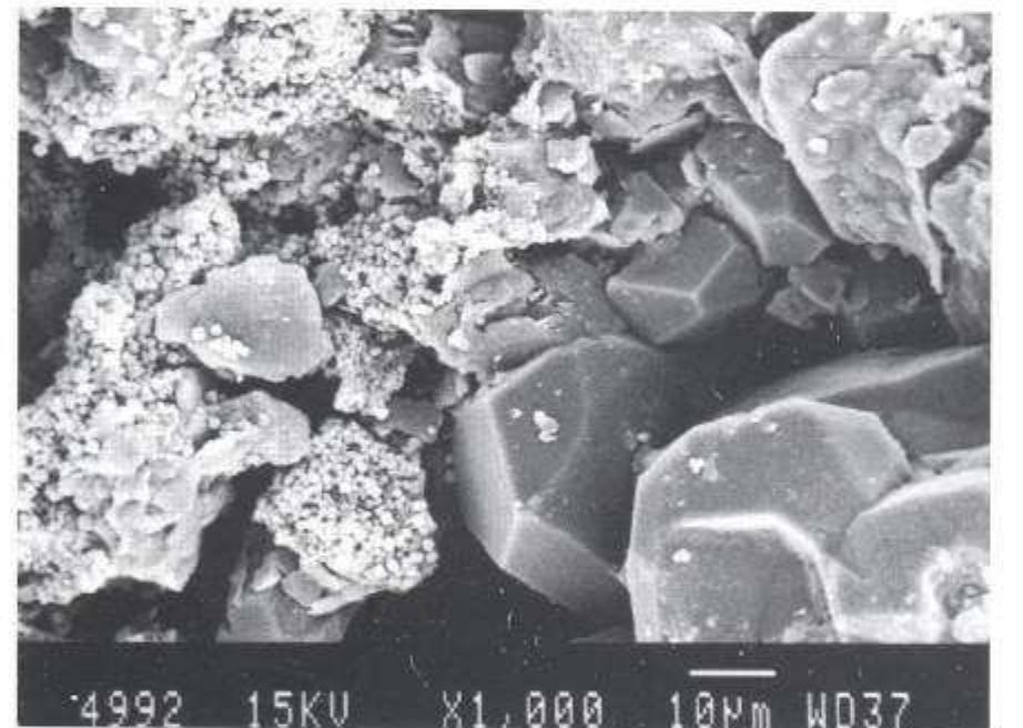 Sem picture of the rock of duricrust type from the site of