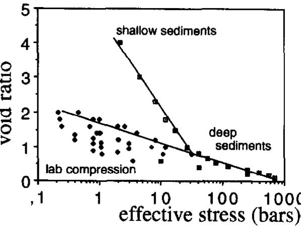 Void ratio—log pressure (effective or pressure of solids)