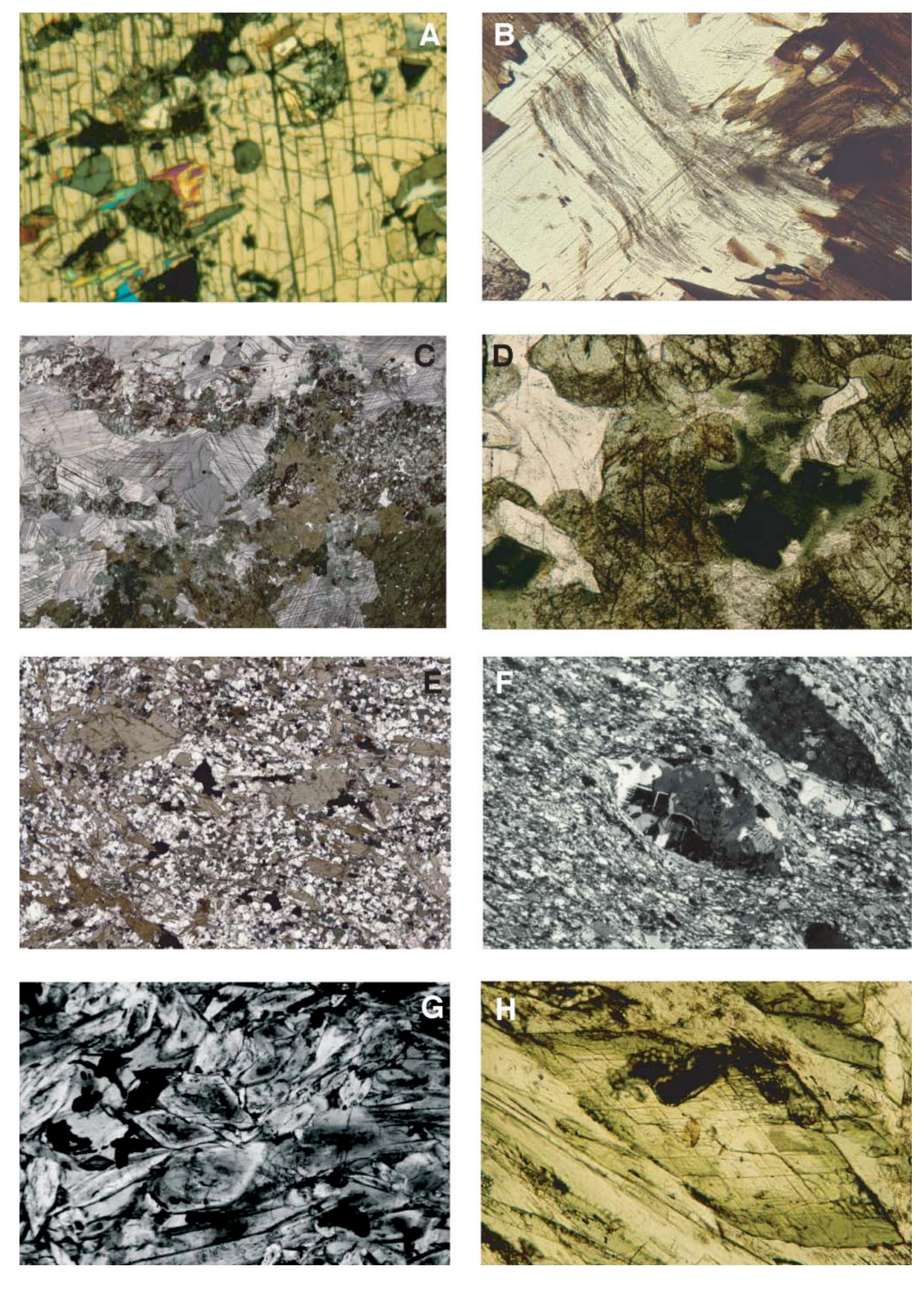 Figure 10 - Mapping tectono-metamorphic histories in the