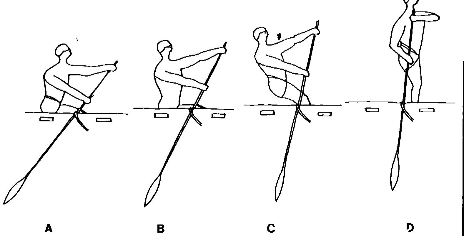 C. d. jarrett-bell used the four positions depicted at deir
