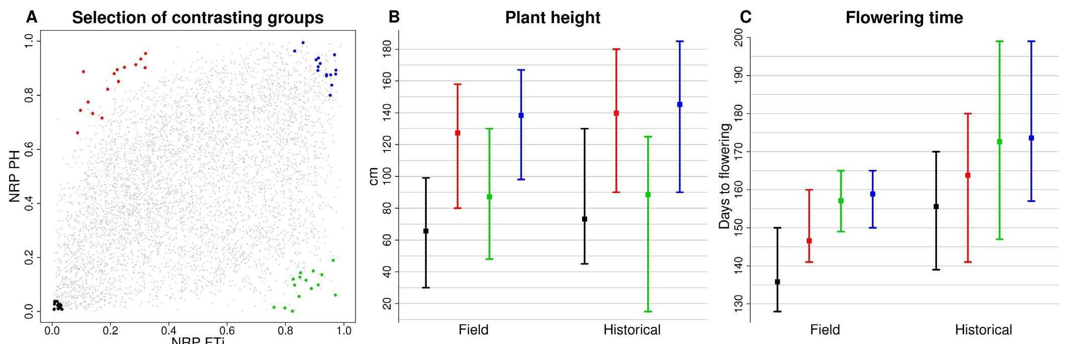 | validation of mto for a wheat collection comprising 6,959