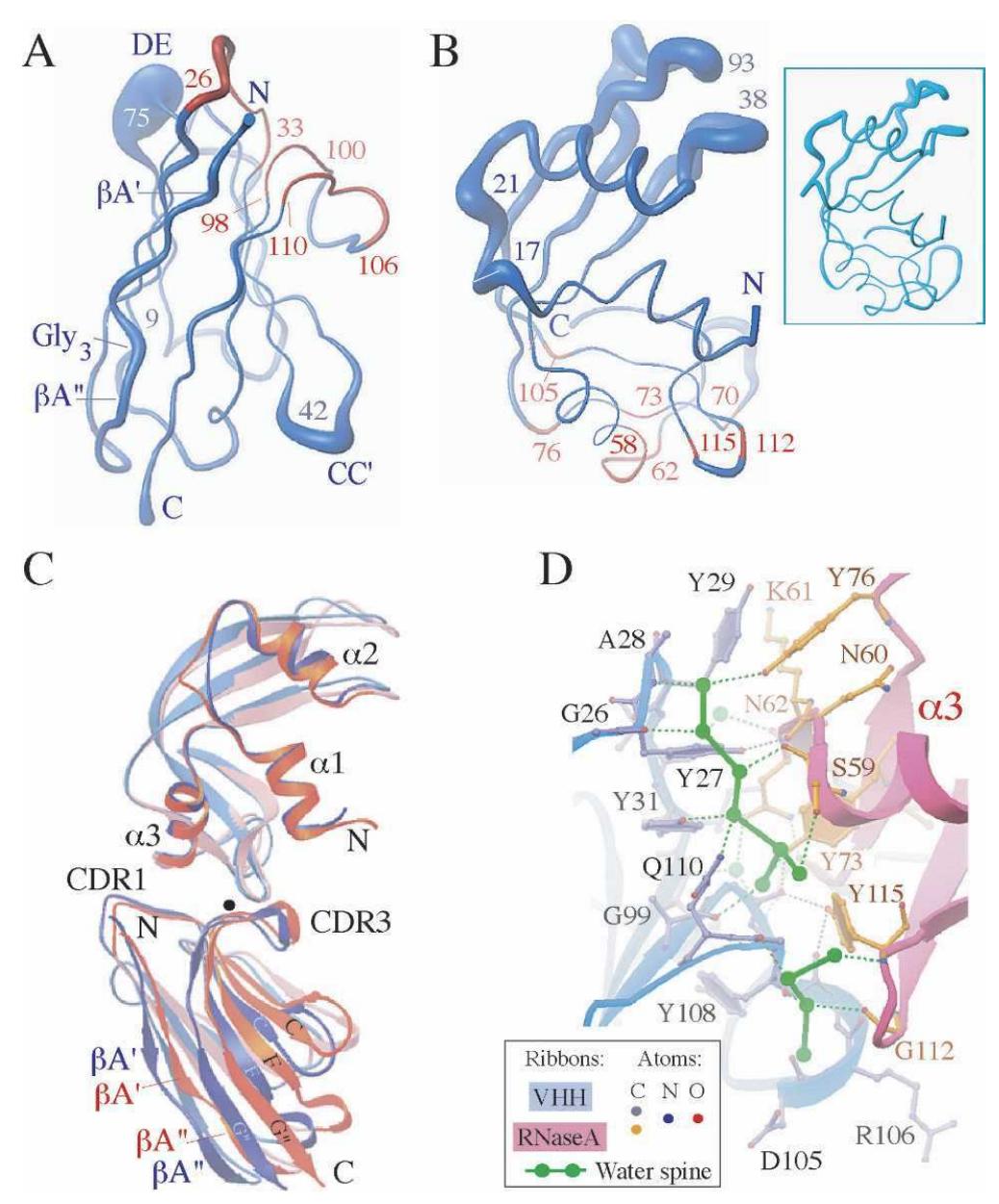 S. “a comparison of dailrerent a-ray structures of the