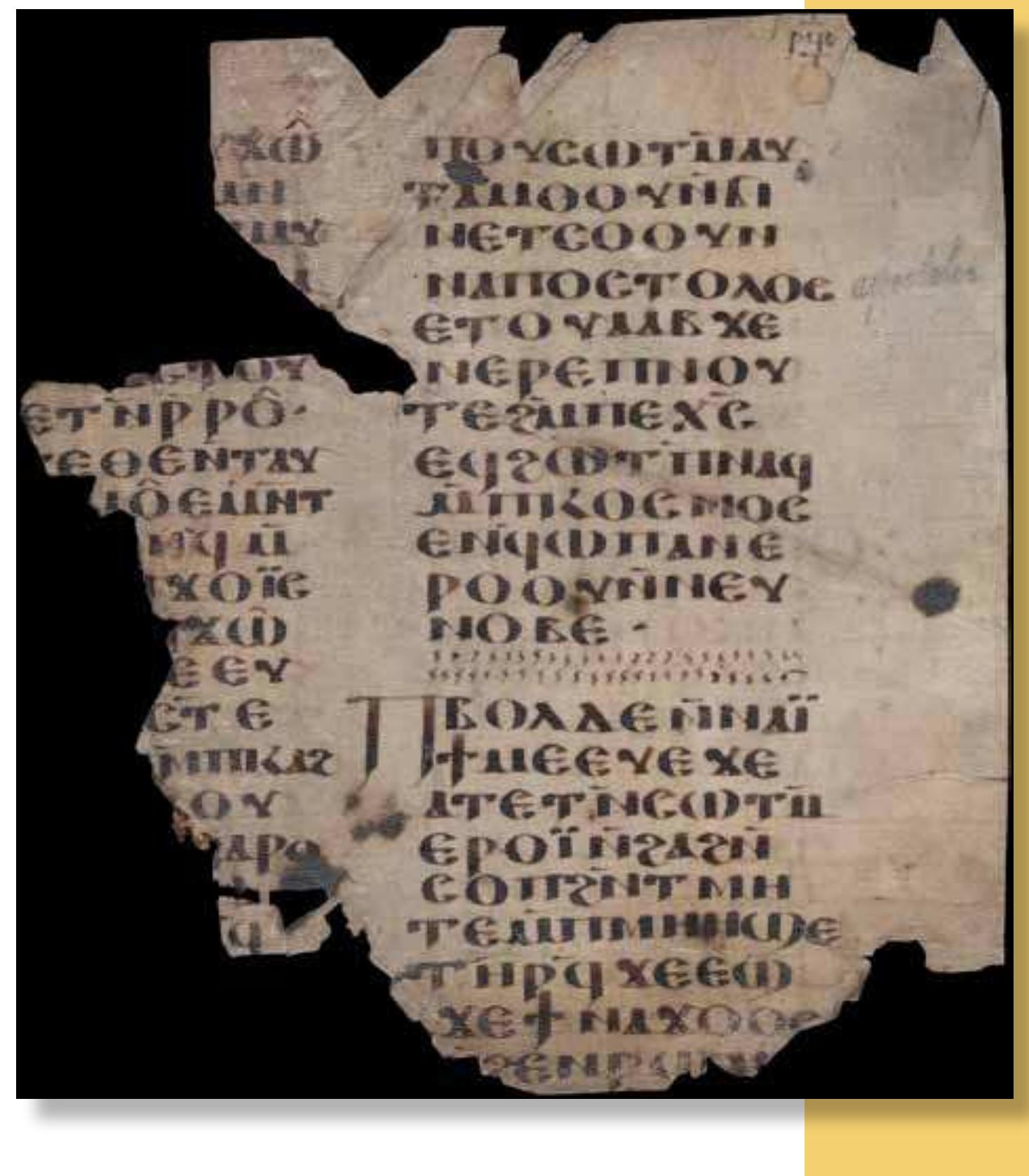 Colleen Manassa Darnell - Yale University