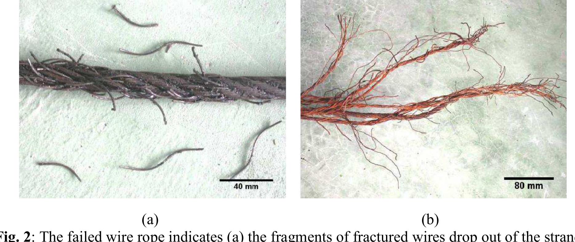 Figure 2 - Failure Analysis of Crane Wire Rope