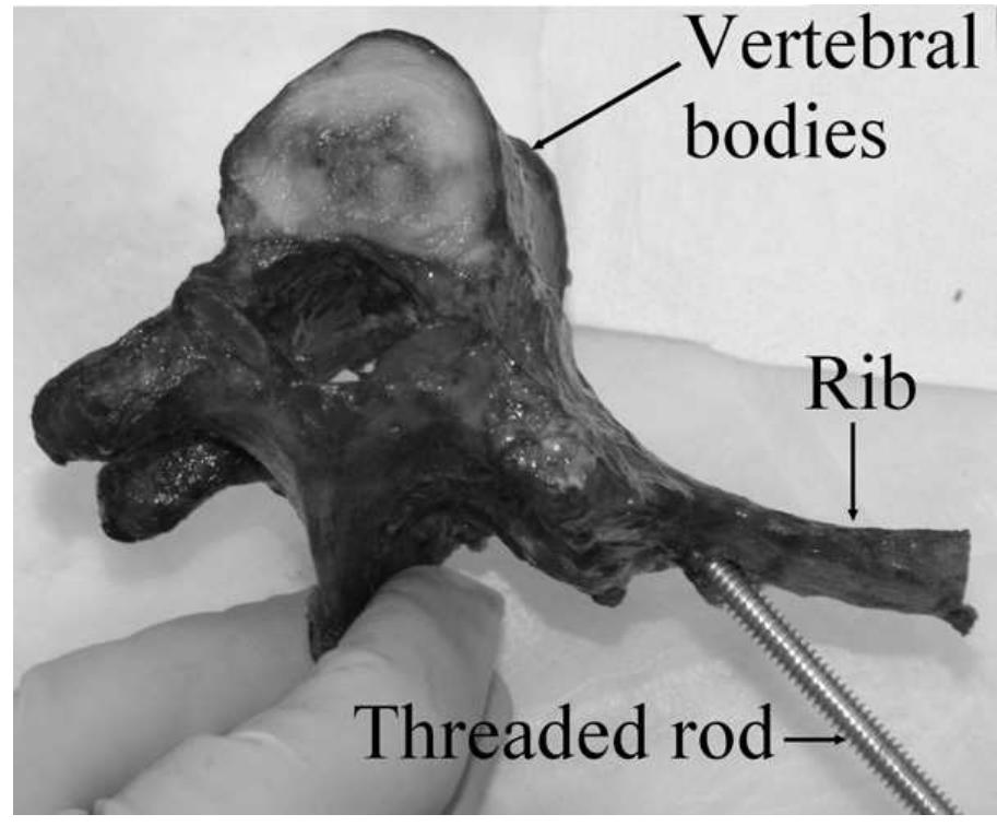 Sample equipped with a threaded rod.
