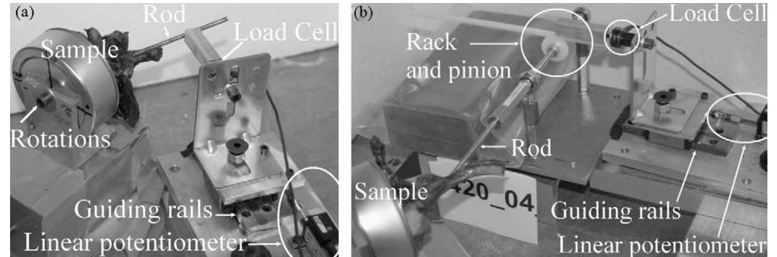 (a) set-up for the cranial-caudal and ventral-dorsal flexion