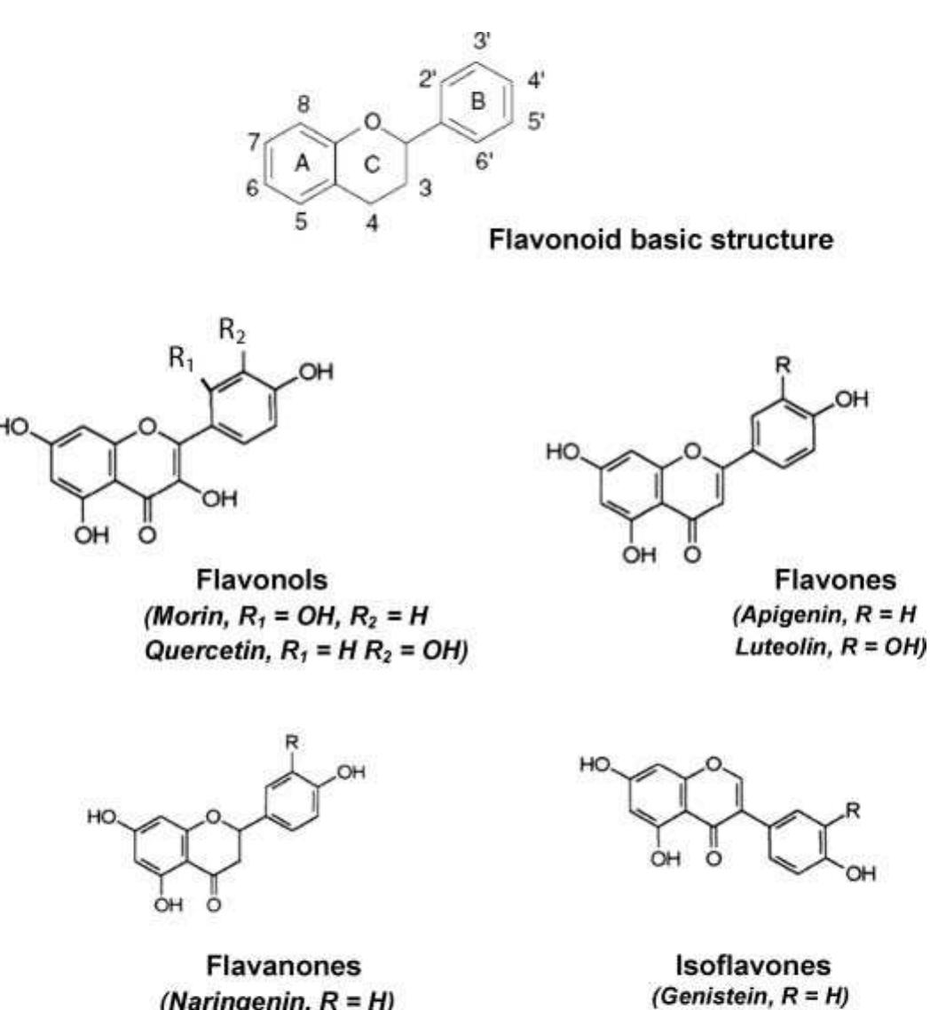 Chemical structures of the common classes of flavonoids.