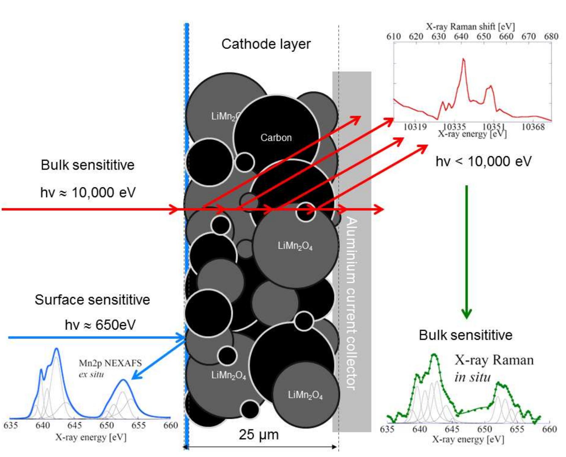 | illustration of a lithium battery cathode assembly. the
