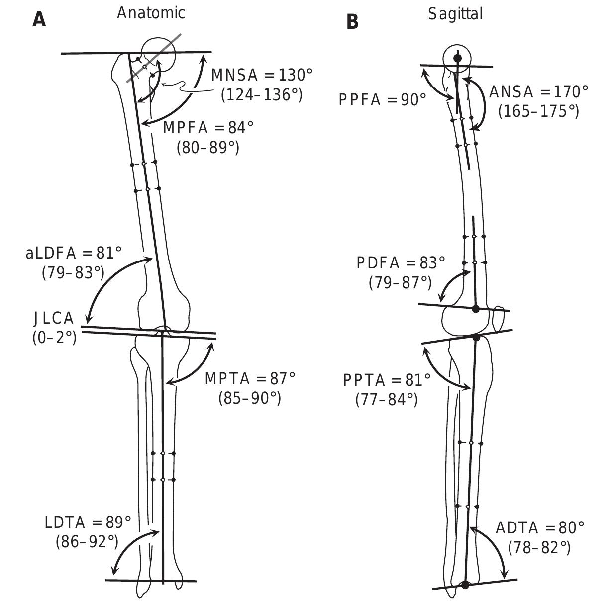 (4) normal joint orientation angles and nomenclature in the