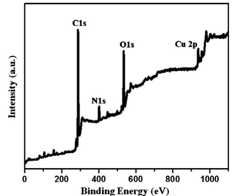 Wide scan x-ray photoelectron spectroscopy analysis (xps) of
