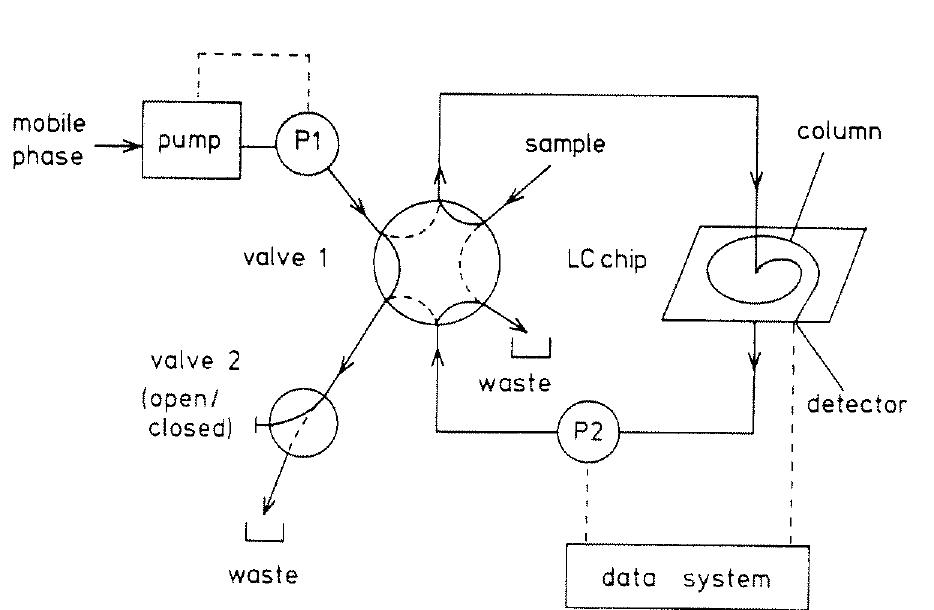 Schematic diagram of the chromatographic system. solid line: