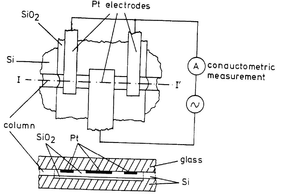 Schematic diagram and cross section i-i’ of the con-