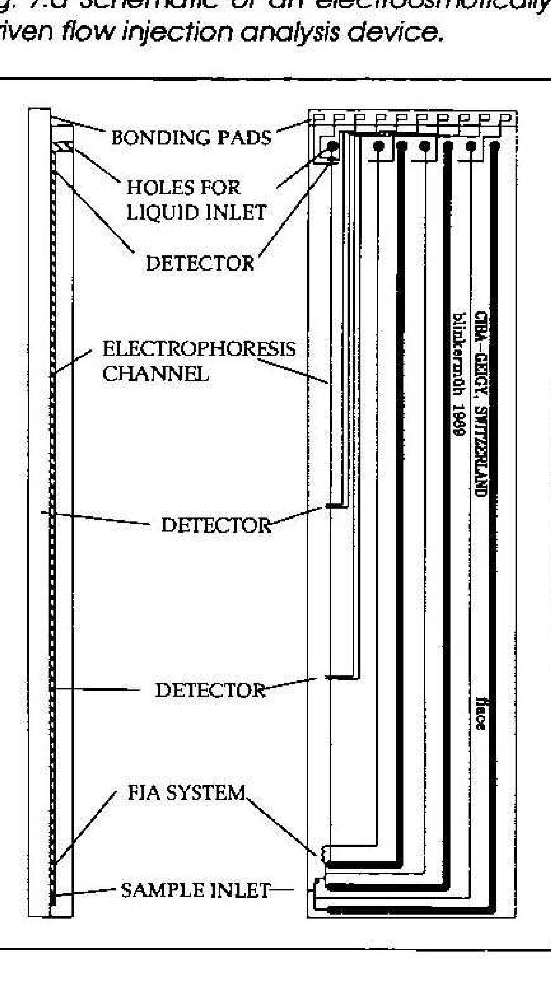 “7.02 layout of an electroosmotically driven flow injection