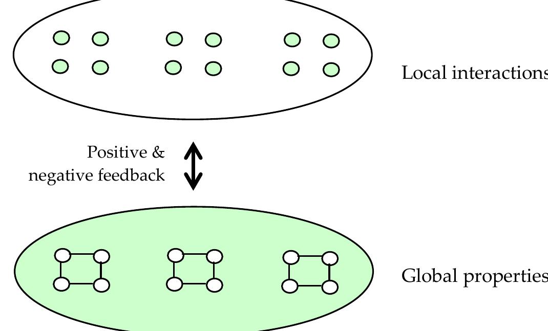 The diagram illustrates the process of self-organisation