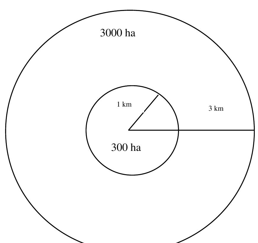 In the 33 international cities with available