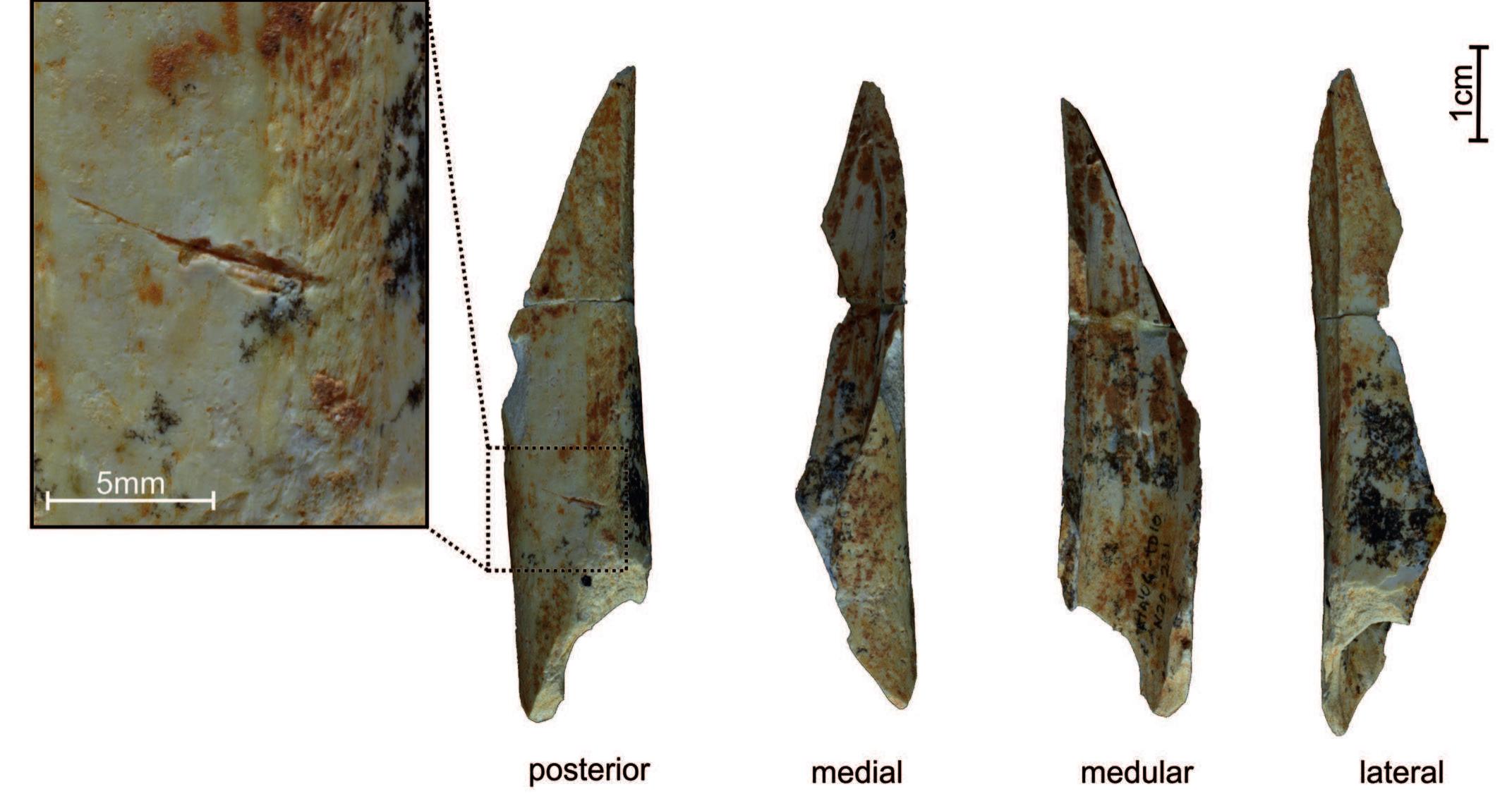 Figure 8 - from Hominin subsistence and site function of