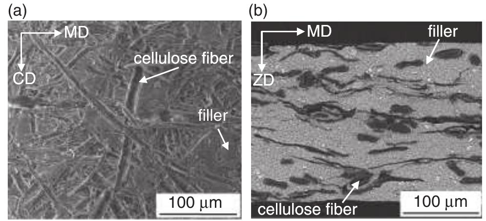 Typical microstructure of a preceramic paper loaded with 80