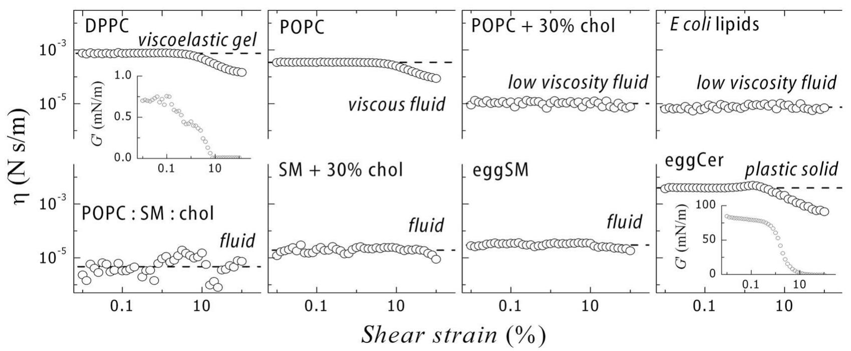 Surface shear viscosity of the different lipid monolayers