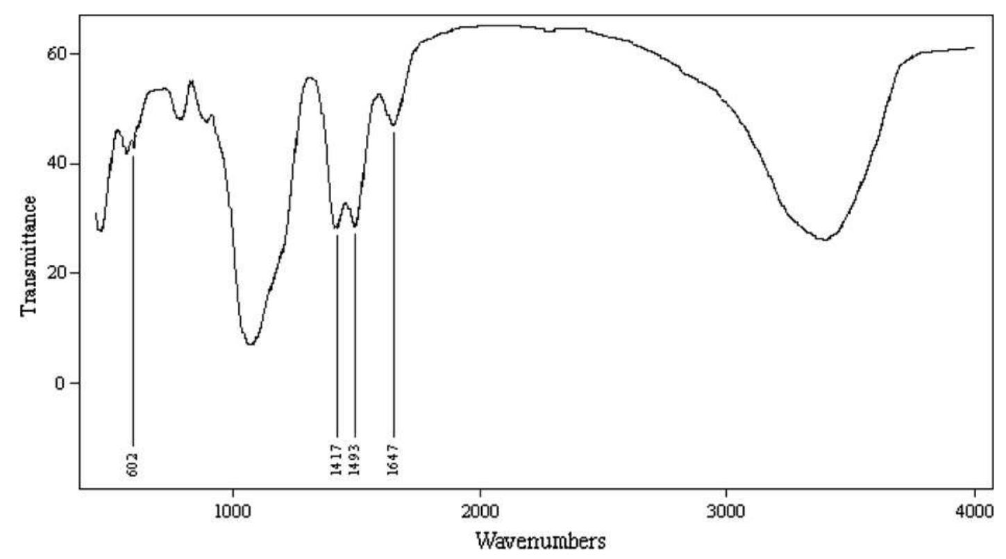 Ftir spectrum pattern of synthesized bioglass-ceramic after