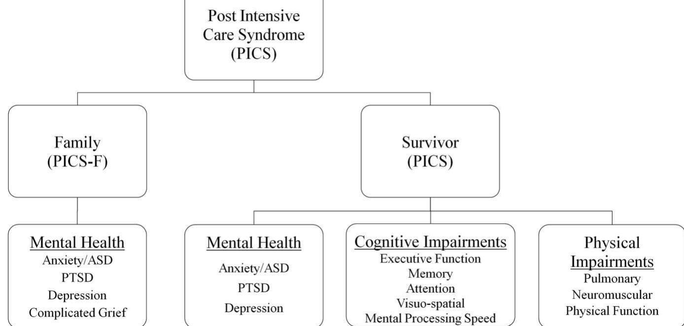 Postintensive Care Syndrome pics Conceptual Diagram Asd Postintensive Care Syndrome pics Conceptual Diagram Asd