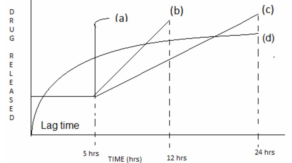 Schematic representation of different drug delivery systems
