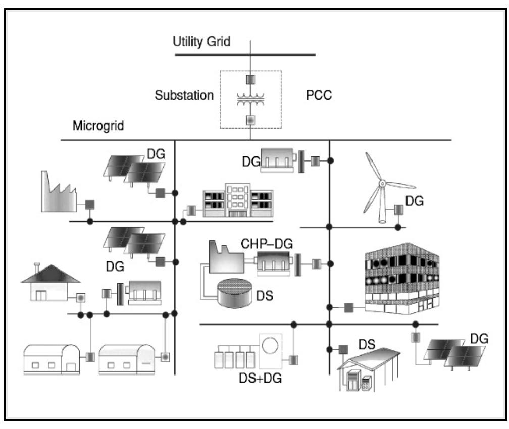 Typical structure of a microgrid (adapted from [1])