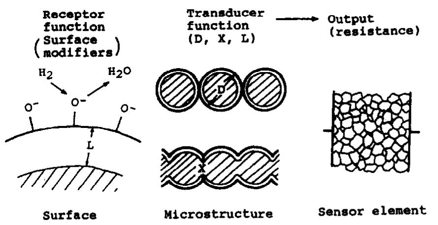 Receptor and transducer functions of semicon- ductor gas