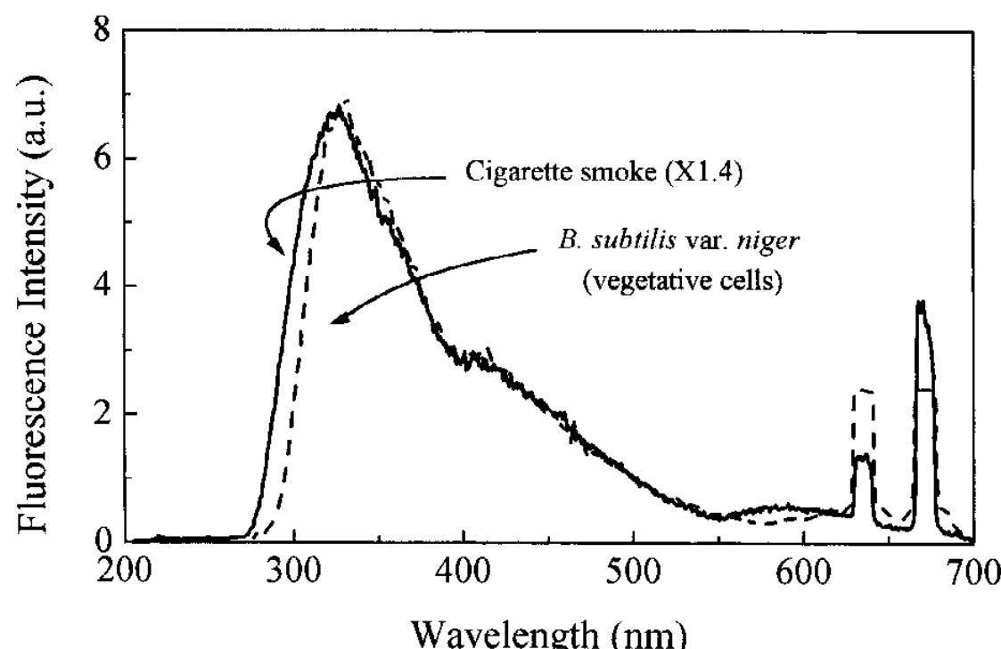 Fluorescence spectra of side-stream tobacco smoke averaged