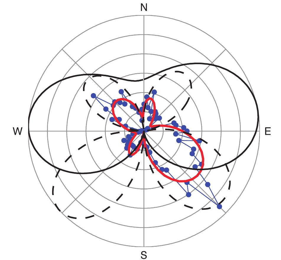 Rose plot displaying the vertical seismic profile (vsp) tr
