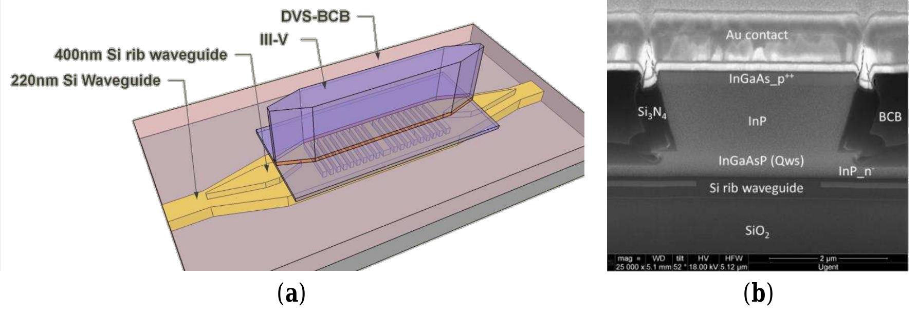 (a) layout of the distributed feedback laser structure. (b)