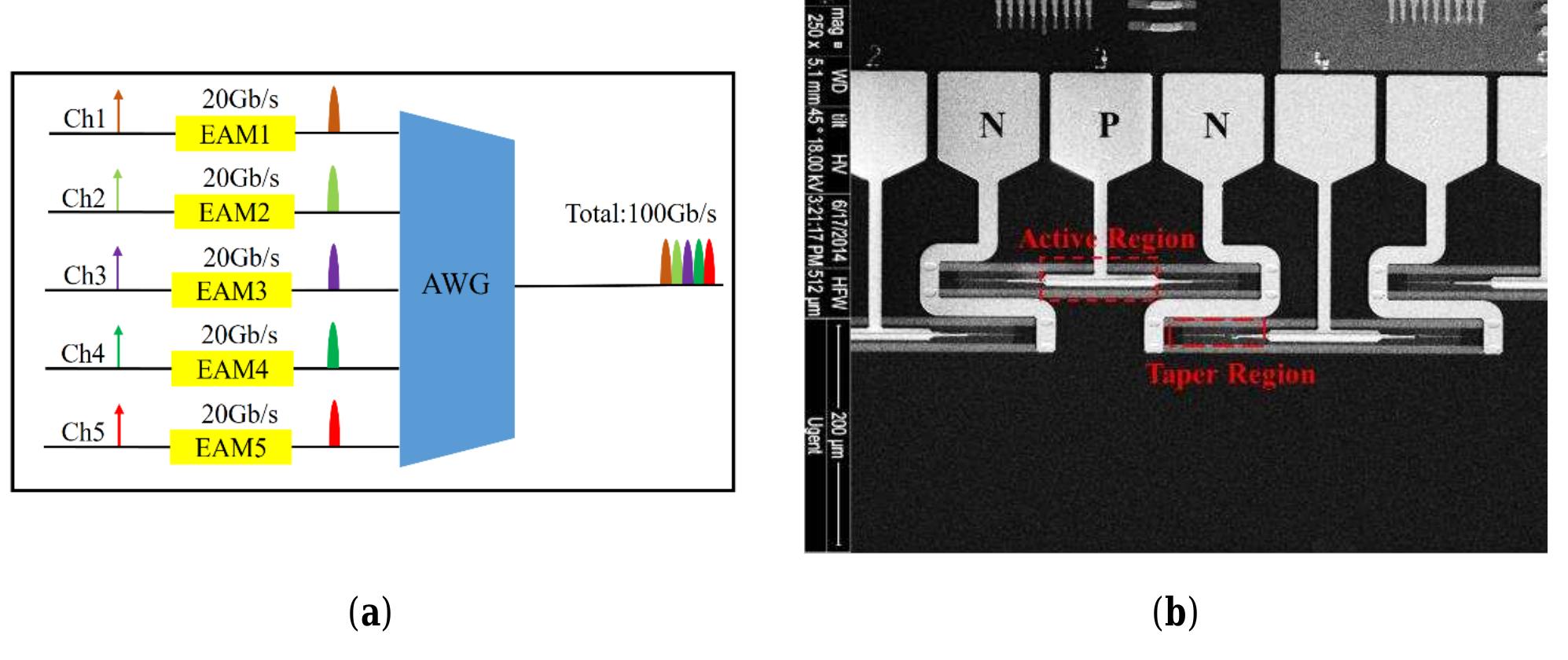 (a) schematic diagram of the chip layout. (b) top-view of