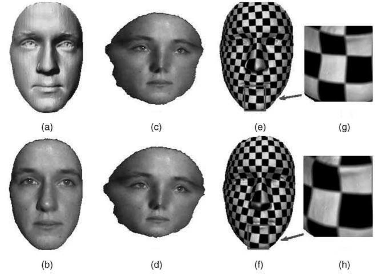 Distortion comparison between a conformal map and a harmonic
