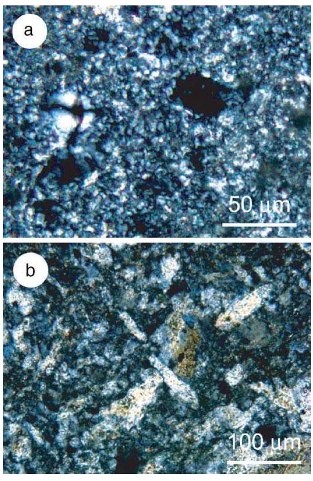 (PDF) Geology and geochemistry of jasperoids from the Gold Bar district ...