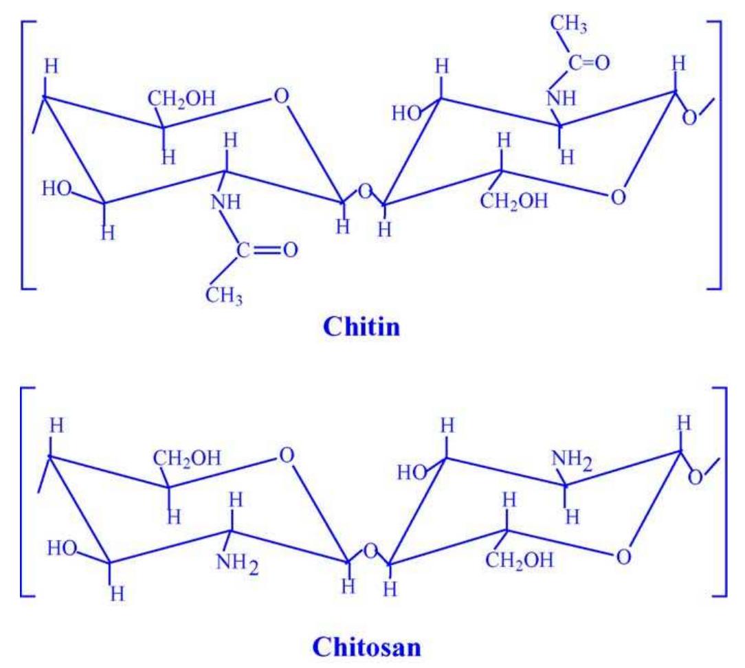 Chemical structures of chitin and chitosan. the structures