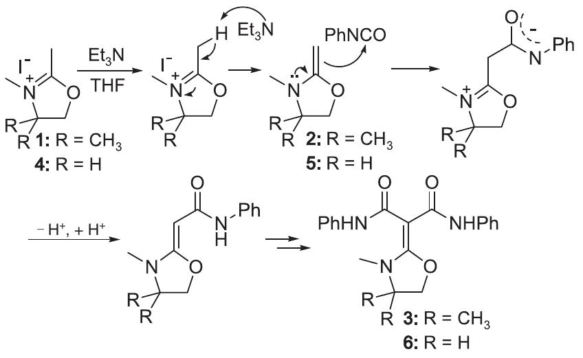 Suggested mechanism for the one pot process to generate