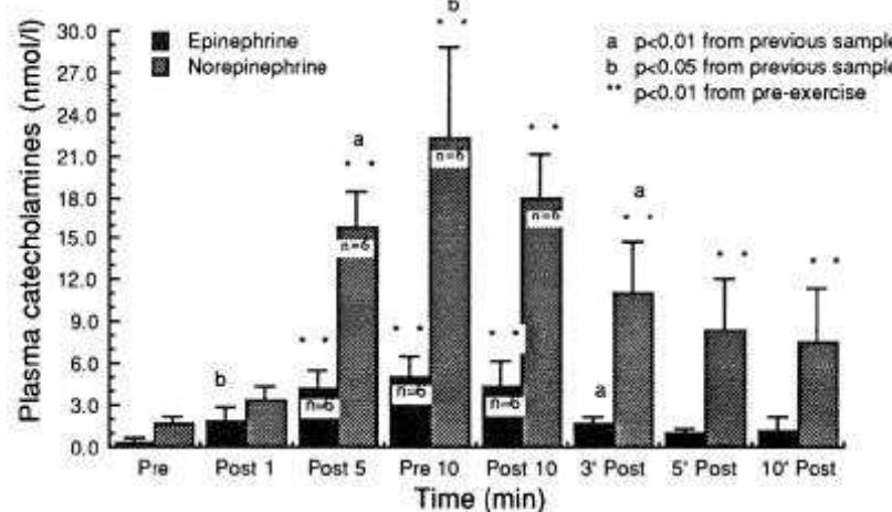 Fic. 5. plasma norepinephrine and epinephrine concentrations