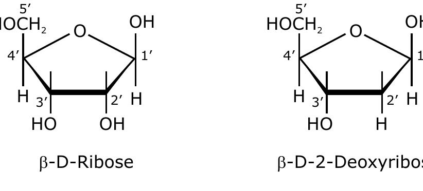 Figure 9 - from Life Sciences Fundamentals and Practice Part