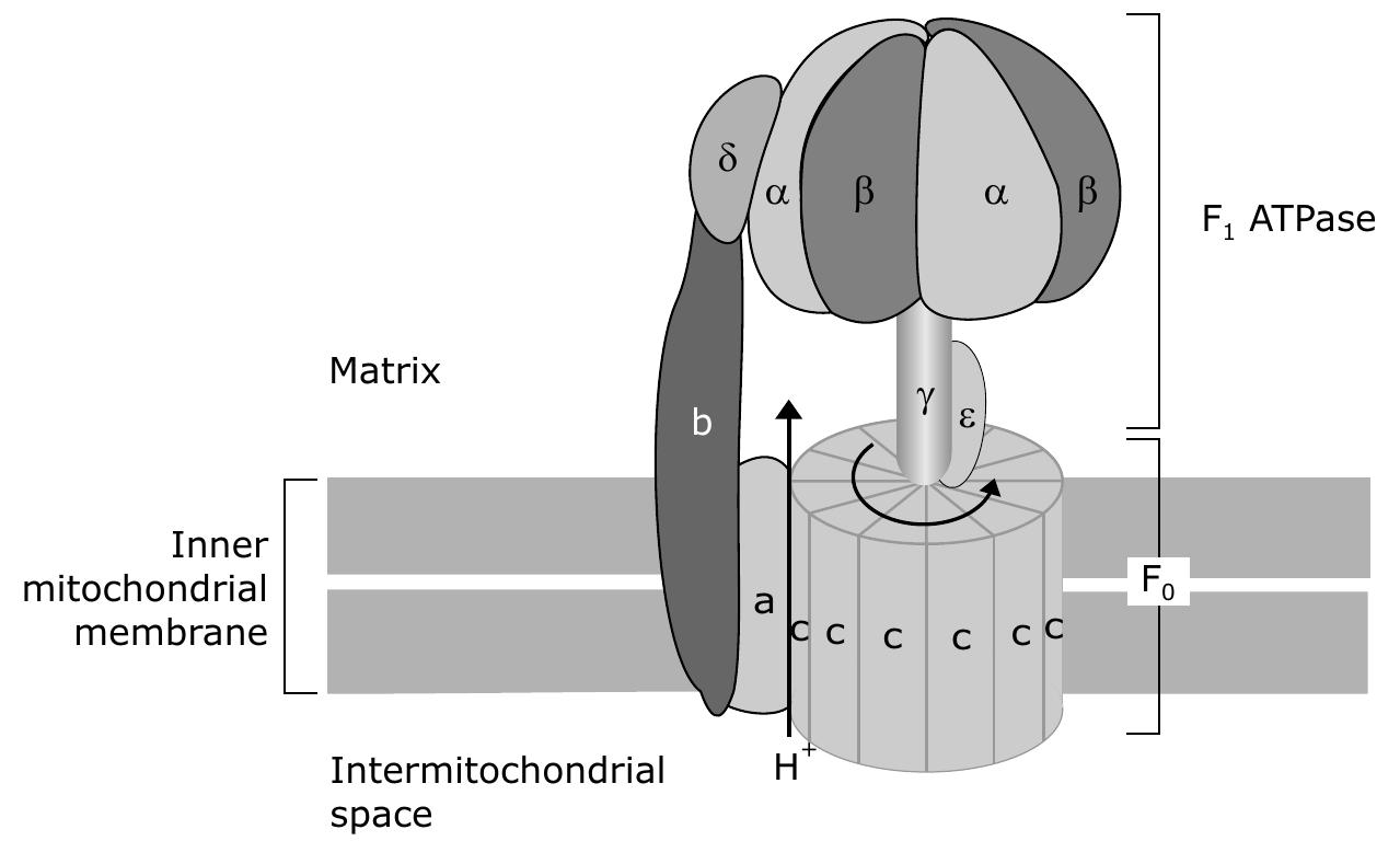(PDF) Life Sciences Fundamentals and Practice Part -I
