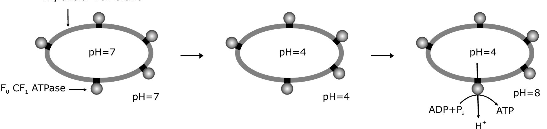 (PDF) Life Sciences Fundamentals and Practice Part -I
