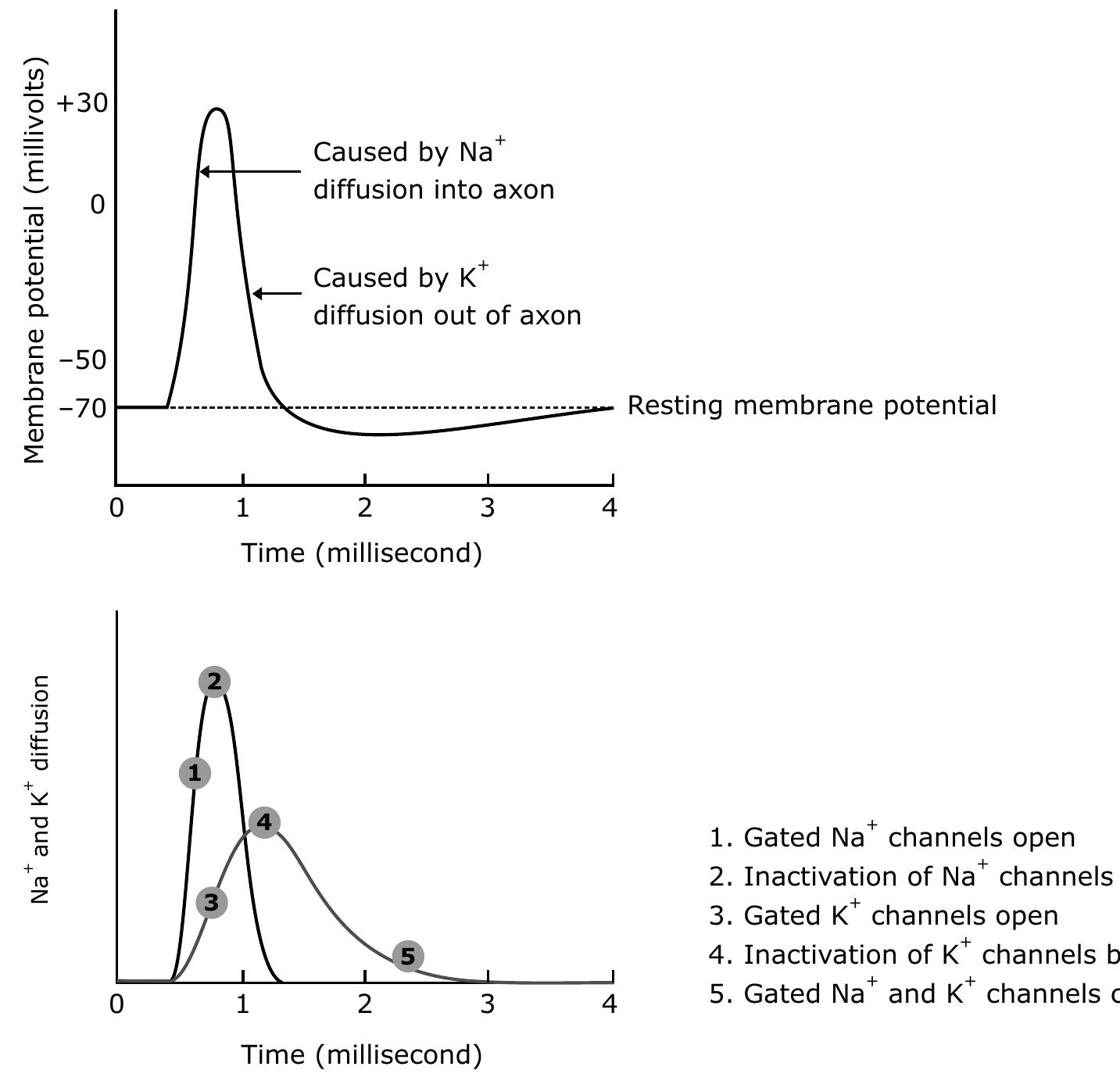 (PDF) Life Sciences Fundamentals and Practice Part -I