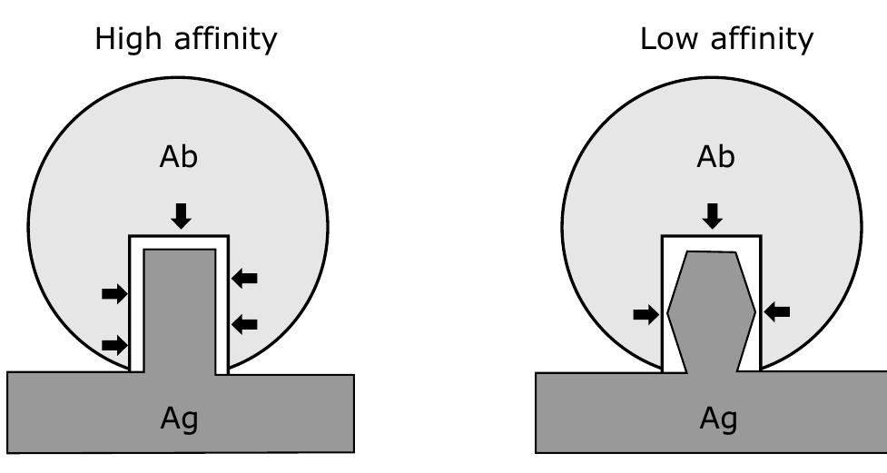 (PDF) Life Sciences Fundamentals and Practice Part -I