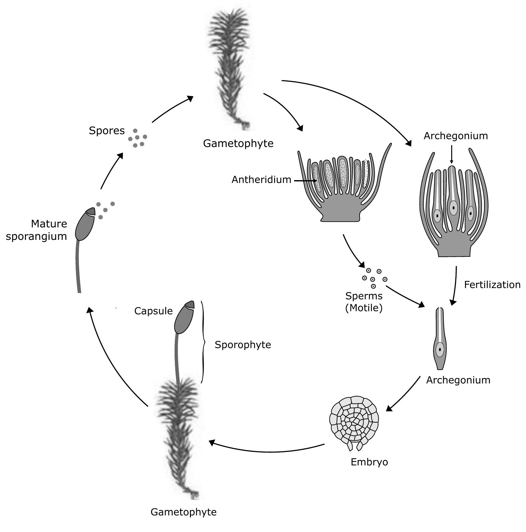 (PDF) Life Sciences Fundamentals and Practice Part -I