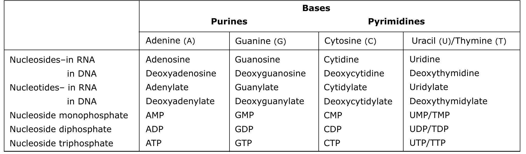 9 naming nucleosides and nucleotides polynucleotides