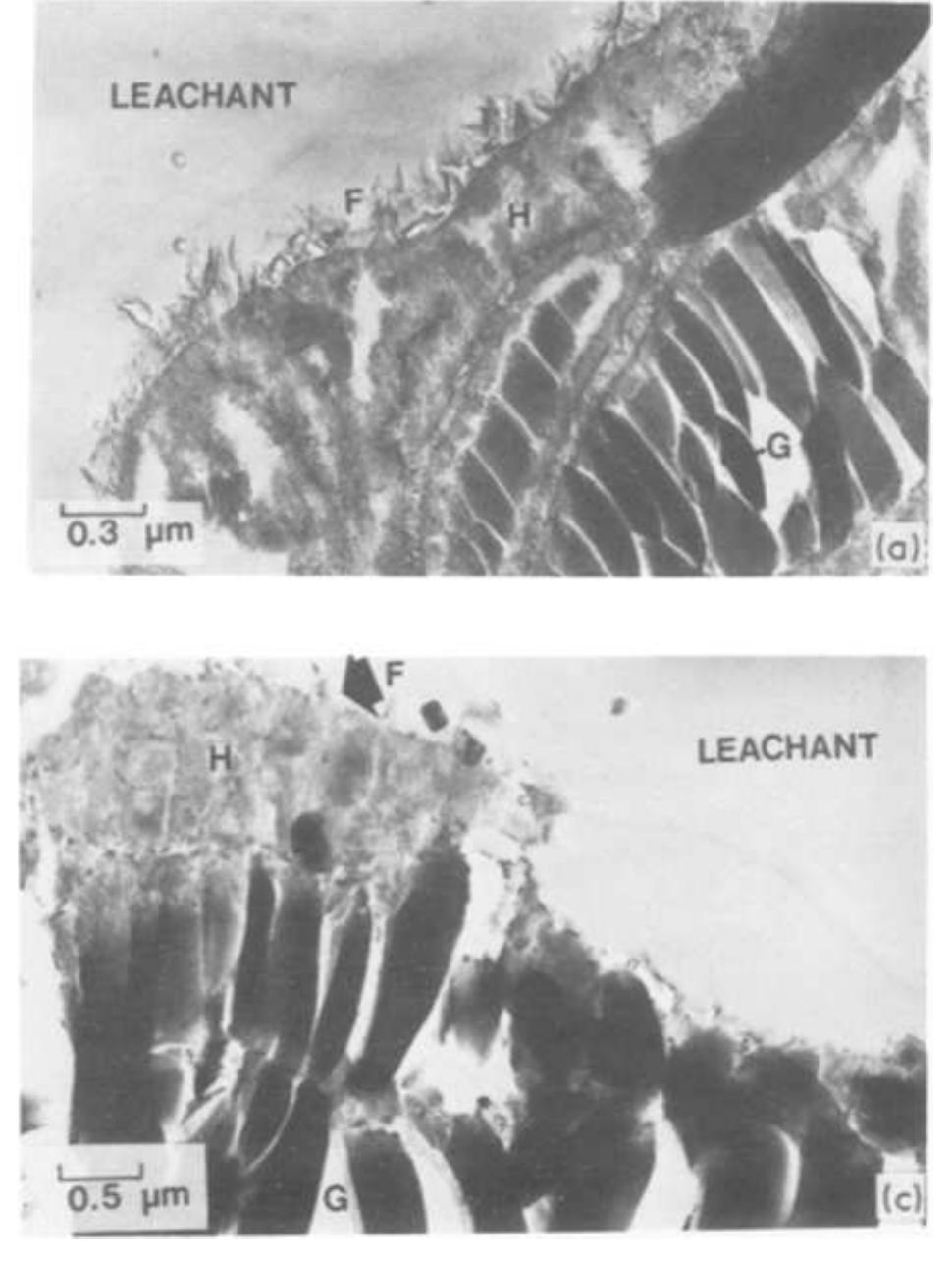 23.7 g (nacl) kg! solution (fig. 5b) and 285 g (nacl) kg!