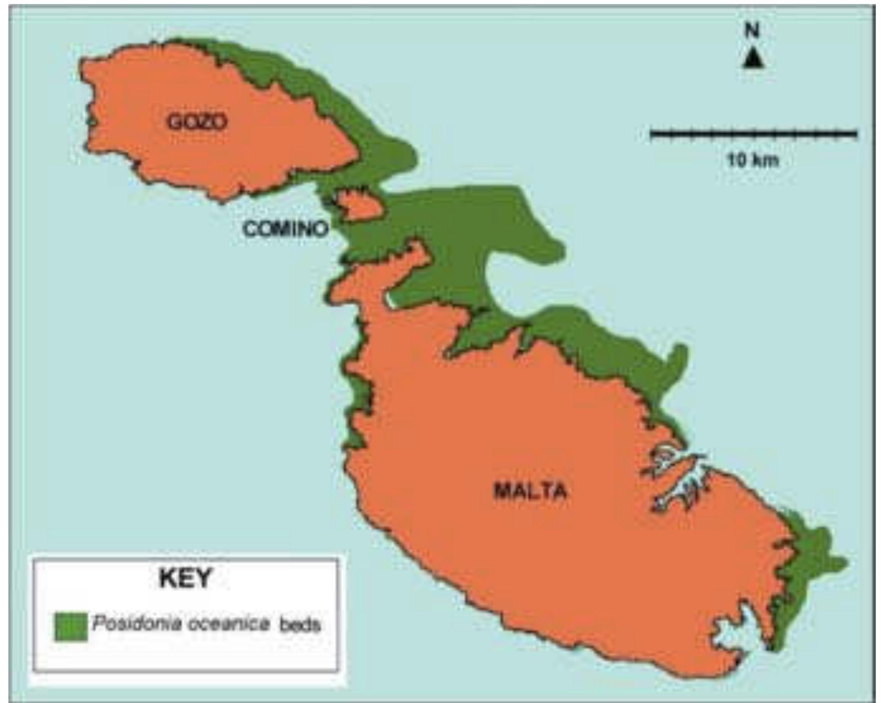 map of the maltese islands showing the areas where