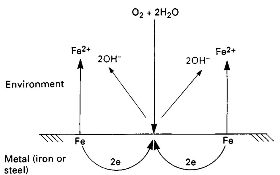 1. schematic illustration of the corrosion of steel in an