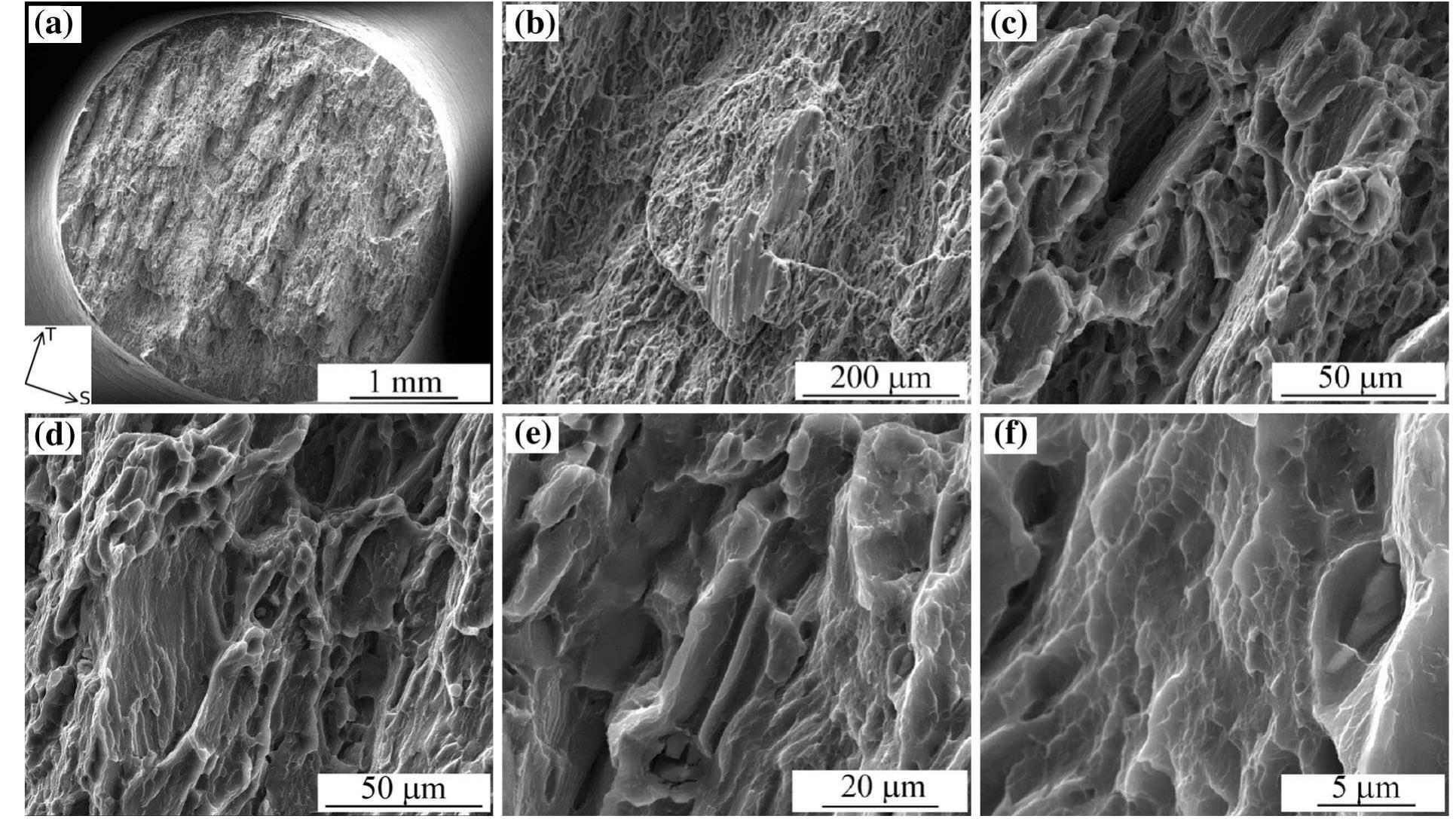 a) fracture surface of sharp notched bar (rn2) showing (0)