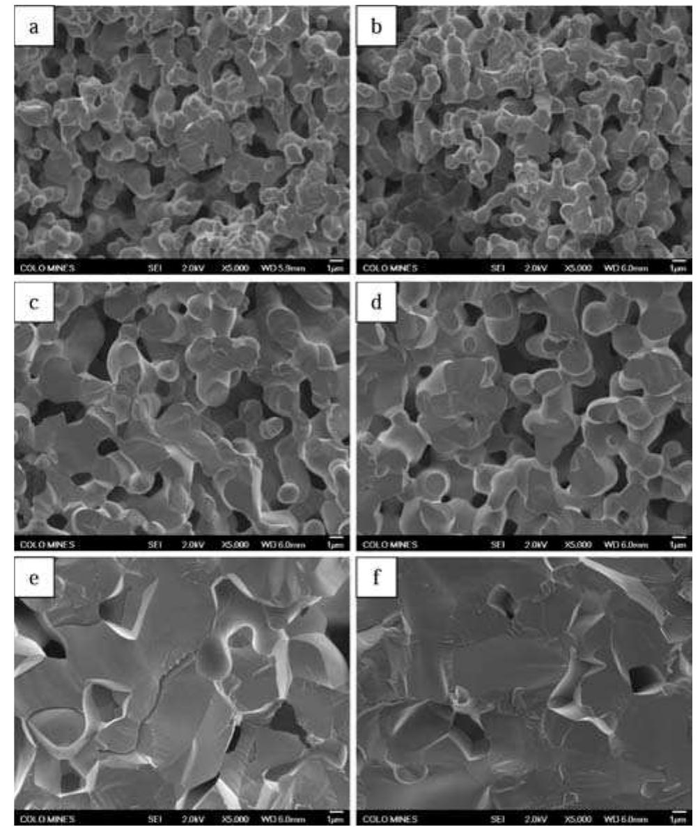 Sem images for fractured cross sections of bay,nios pellets
