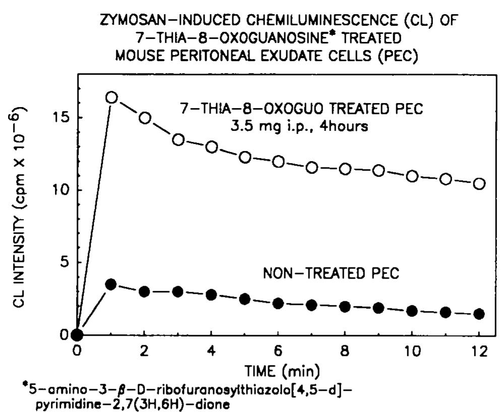 Phagocytes (macrophages, neutrophils and polymorphonuclear
